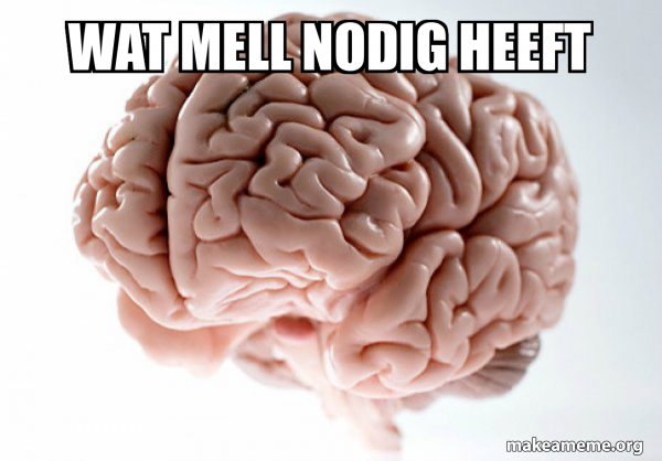 wat mell nodig heeft - Scumbag Brain Meme Generator