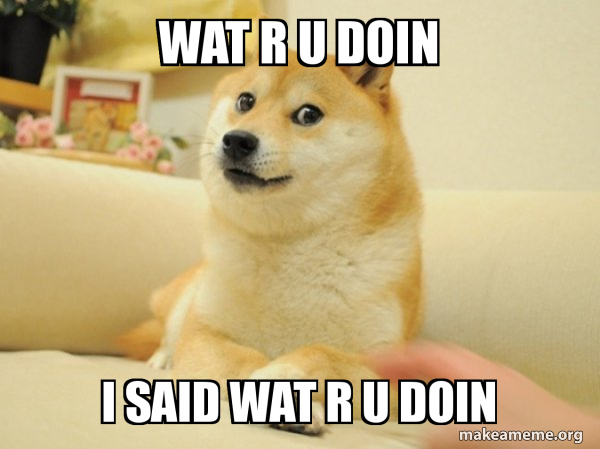 wat r u doin I SAID WAT R U DOIN - Doge Meme Generator