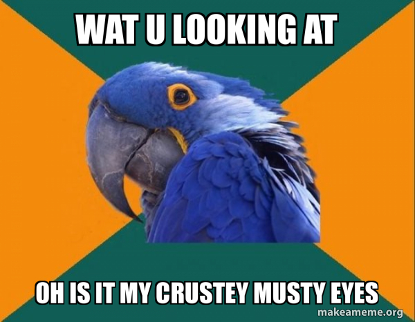 wat u looking at oh is it my crustey musty eyes - Paranoid Parrot Meme ...
