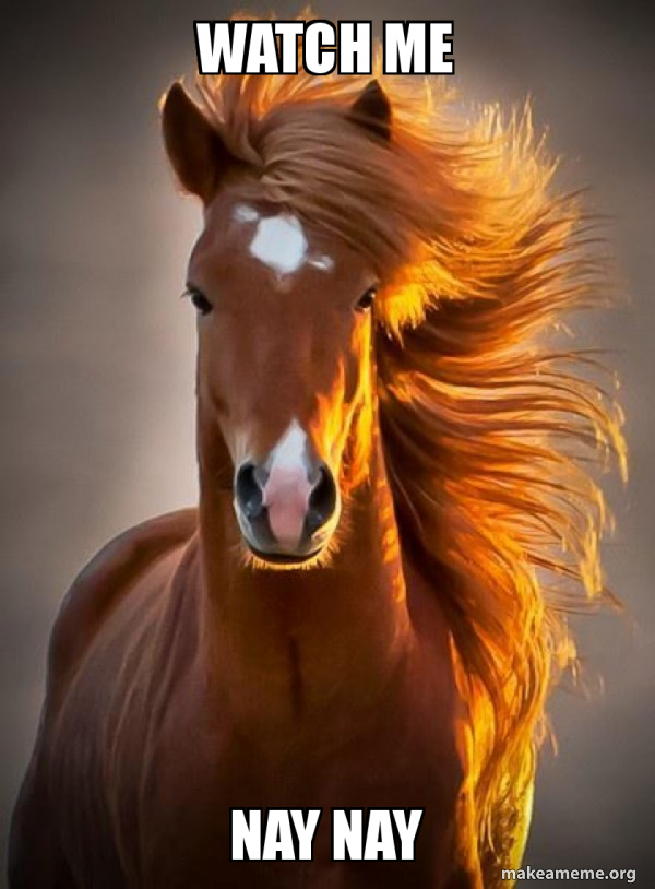 Nay Nay Horse Memes For The Nay Sayers Who Don't Like Raytheon Or