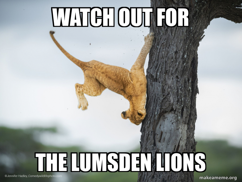 watch out for the lumsden lions Meme Generator