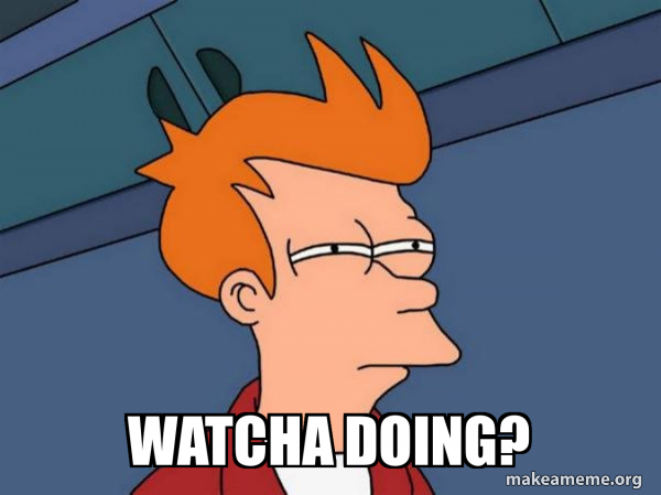 watcha doing? - Futurama Fry Meme Generator