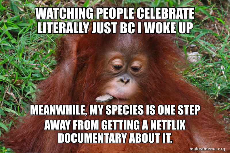 WATCHING people CELEBRATE literally just bc i woke up meanwhile, my species is one step away ...