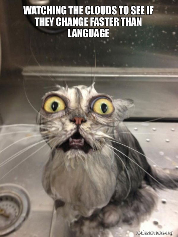 Watching the clouds to see if they change faster than language - Cat ...