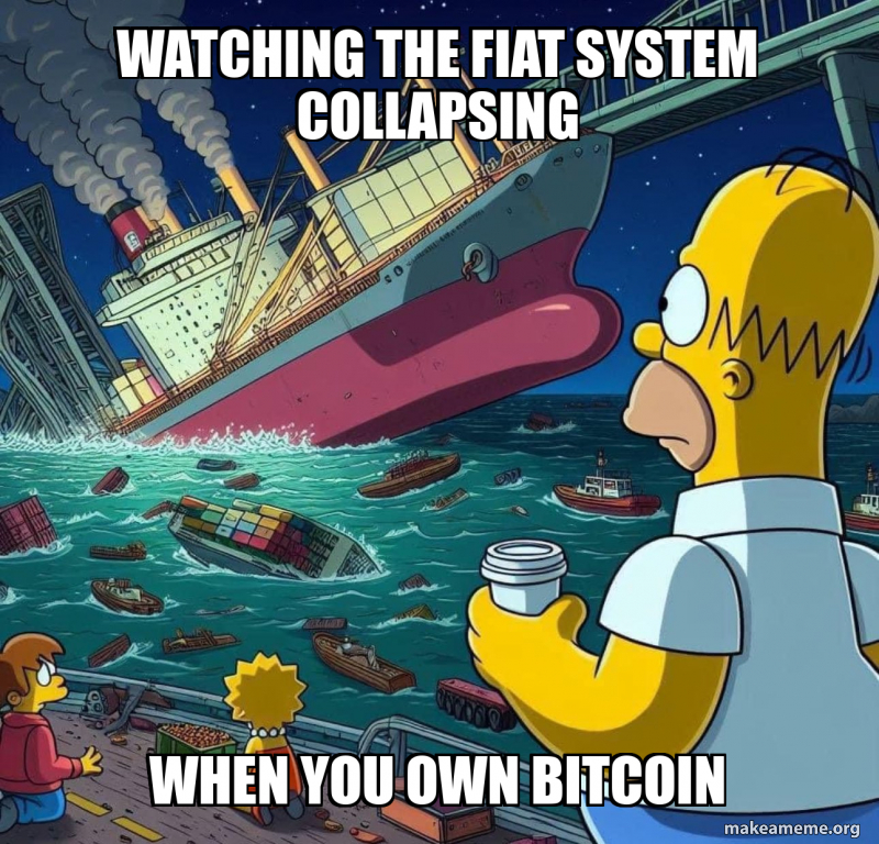 WATCHING THE FIAT SYSTEM COLLAPSING WHEN YOU OWN BITCOIN Meme Generator