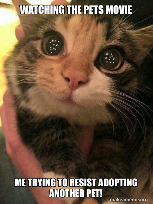Watching the Pets movie Me trying to resist adopting another pet! Meme ...