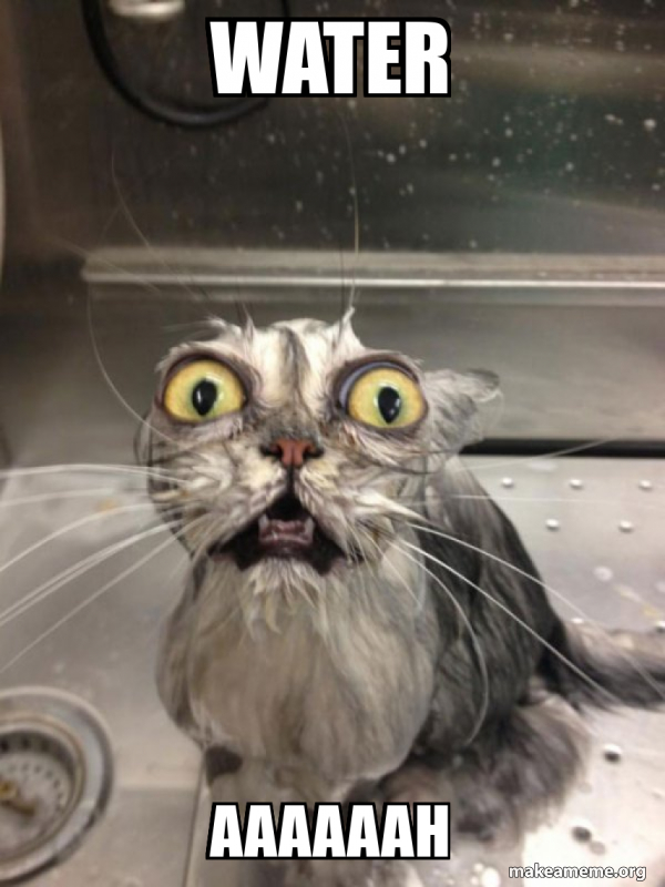Water Aaaaaah - Cat bath Meme Generator