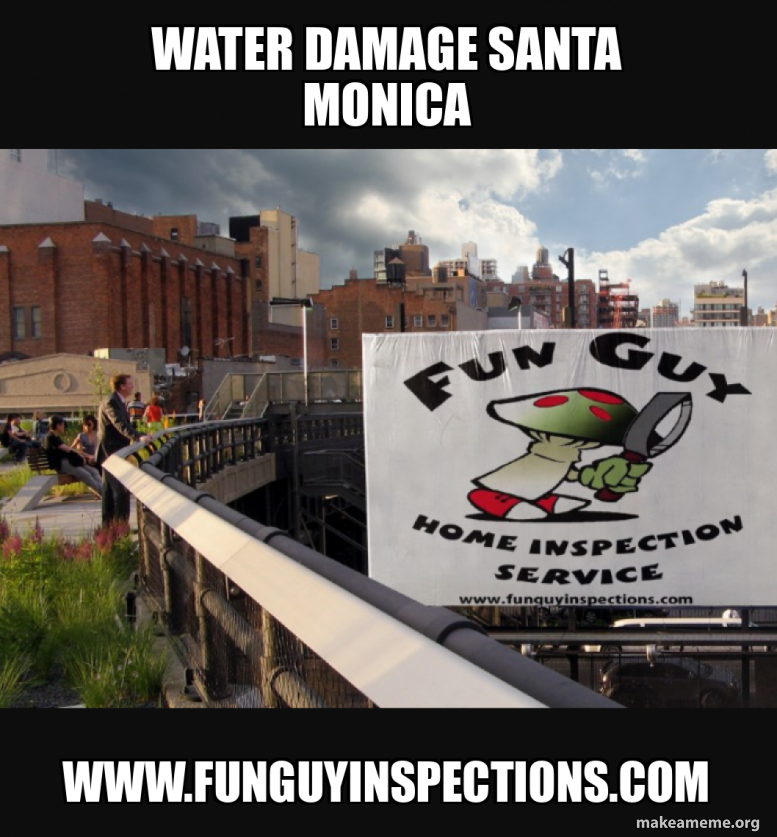 WATER DAMAGE SANTA MONICA WWW.FUNGUYINSPECTIONS.COM - WATER DAMAGE ...