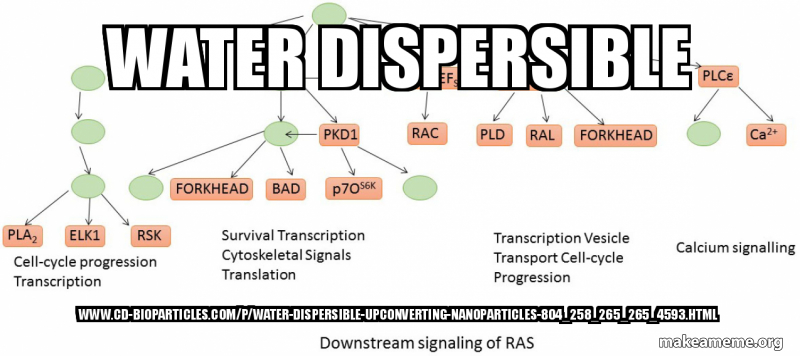 water dispersible www.cd-bioparticles.com/p/Water-dispersible ...