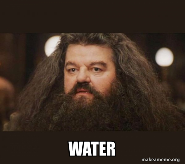 water - Hagrid - I should not have said that Meme Generator