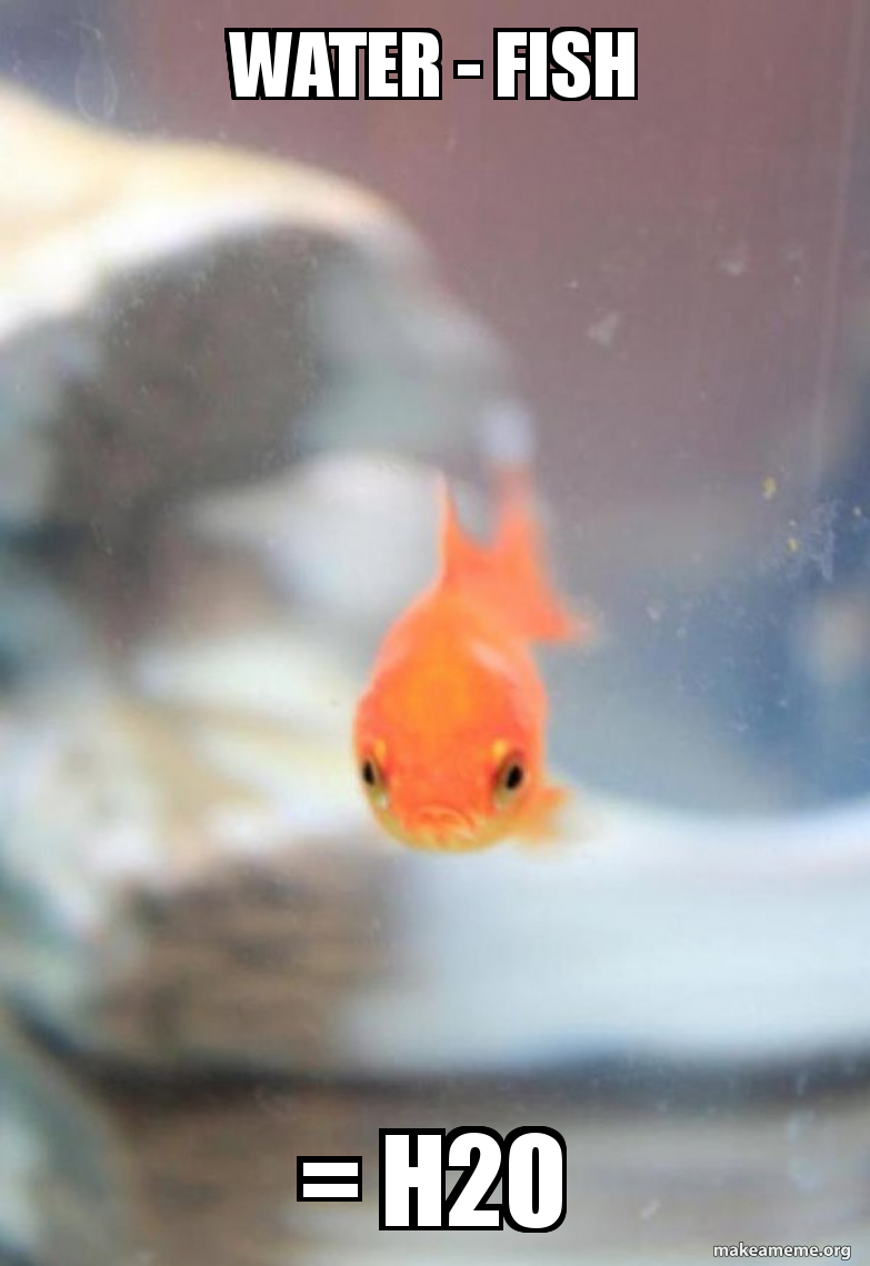 water - fish = h20 - Grumpy Fish Meme Generator
