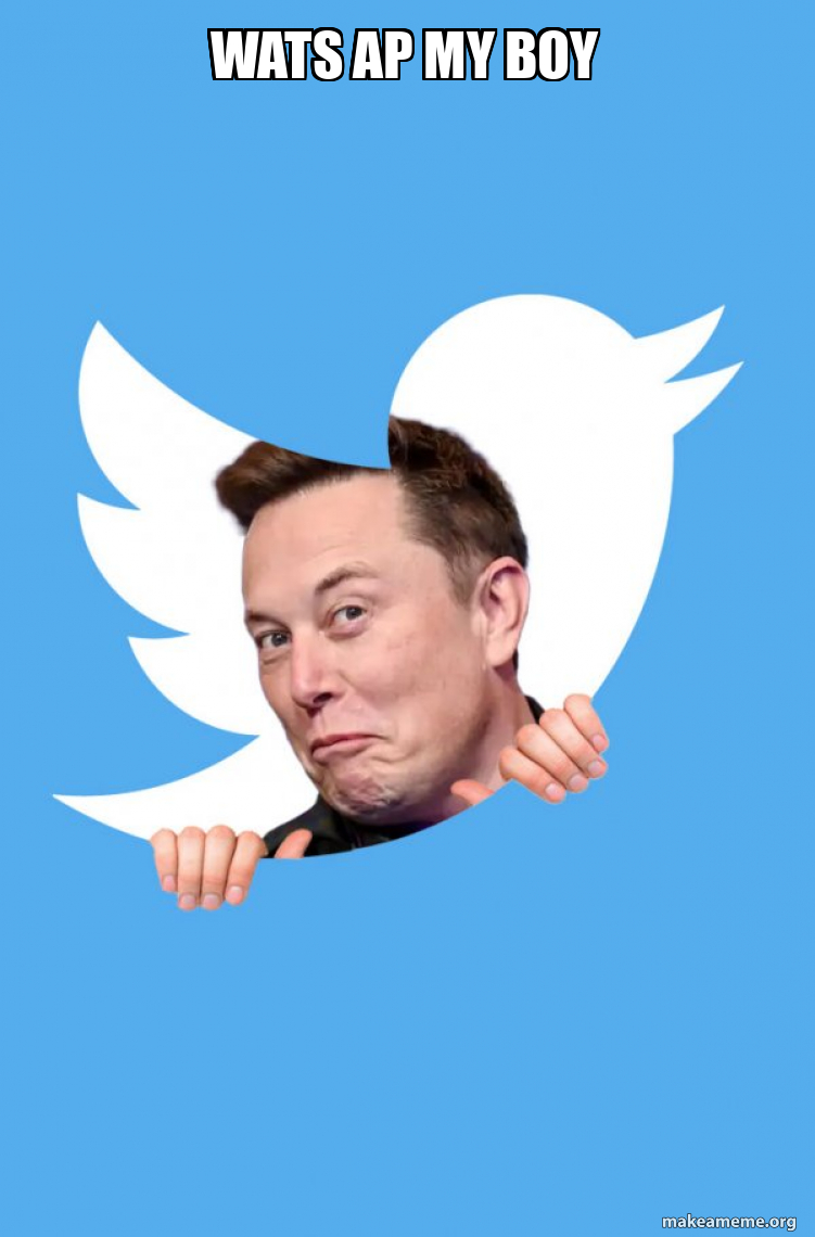 Wats ap my boy - Elon Musk Twitter Meme Generator