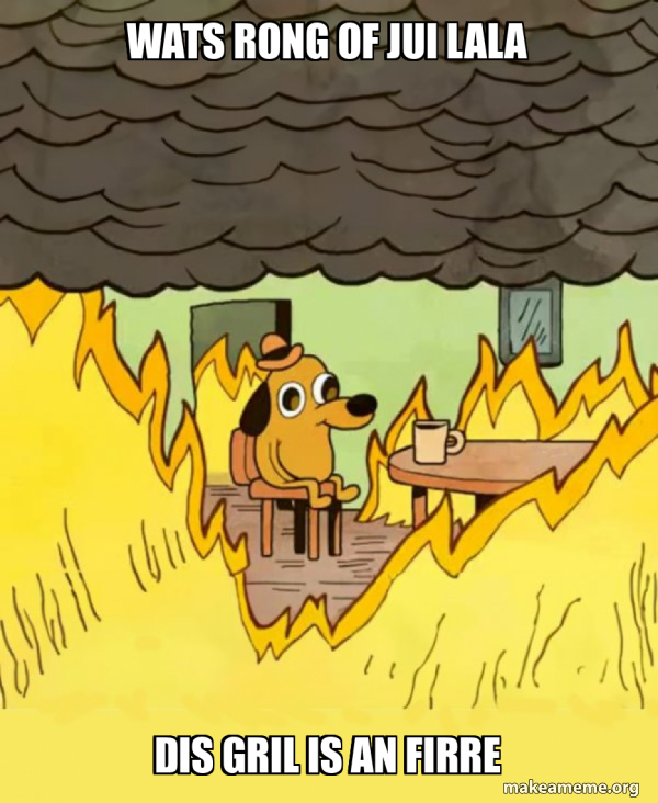 WATS RONG OF JUI LALA DIS GRIL IS AN FIRRE - This Is Fine Meme Generator