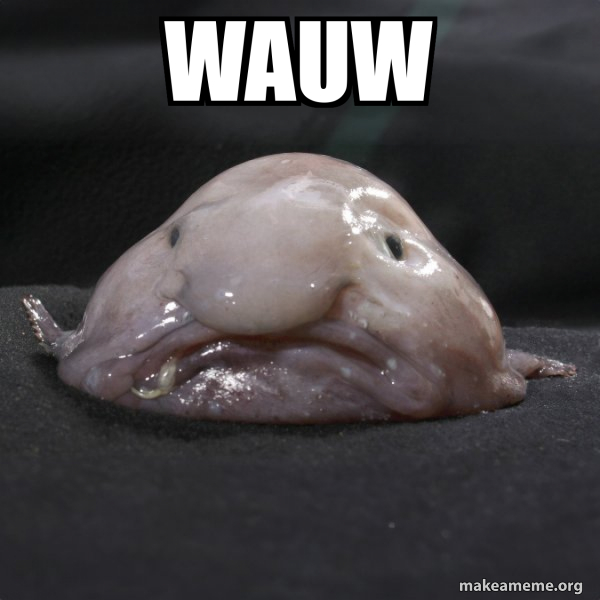 wauw - Blobfish Meme Generator