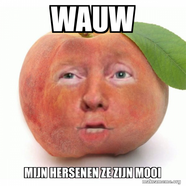 wauw mijn hersenen ze zijn mooi - Impeached Donald Trump Meme Generator