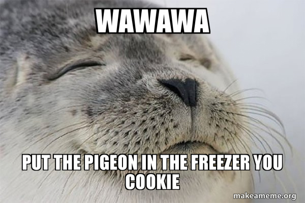 Wawawa Put the pigeon in the freezer you cookie - Satisfied Seal Meme ...
