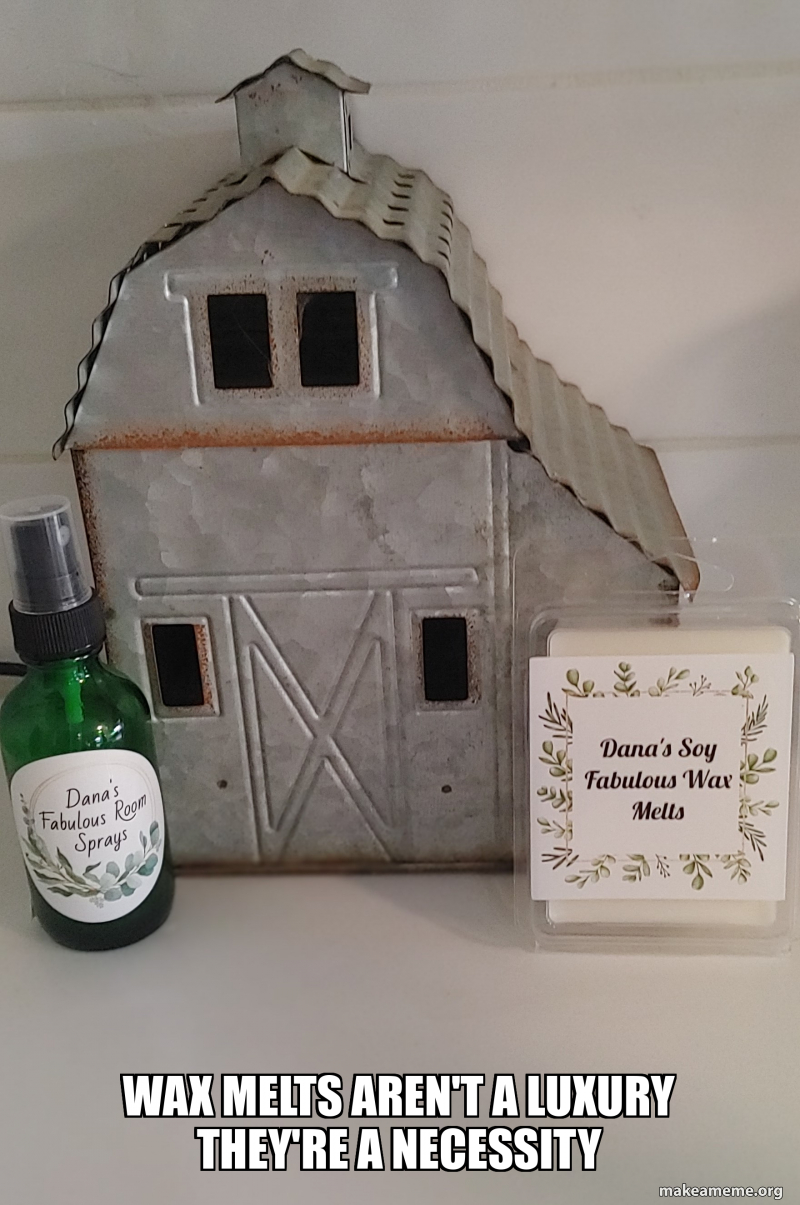 Wax melts aren't a luxury they're a necessity Meme Generator