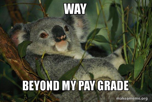 way beyond my pay grade - Laid Back Koala Meme Generator