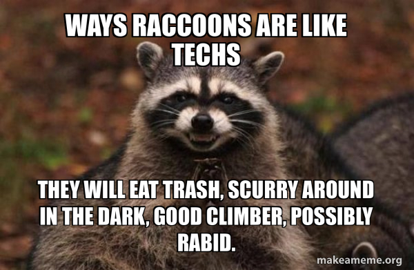WAYS RACCOONS ARE LIKE TECHS THEY WILL EAT TRASH, SCURRY AROUND IN THE ...
