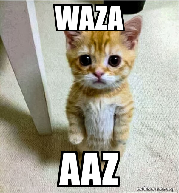 Memes Waza 36 Ideas De Memes Para Waza | Memes, Imágenes Divertidas,