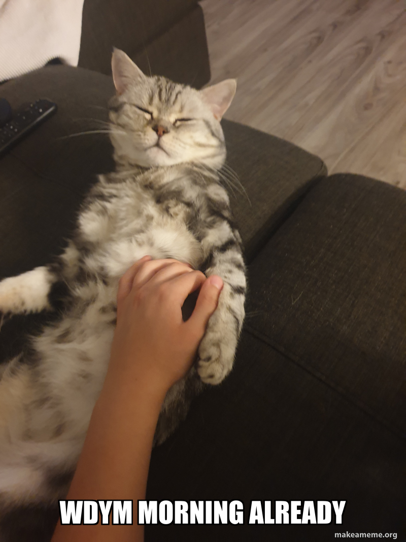 WDYM MORNING ALREADY Meme Generator