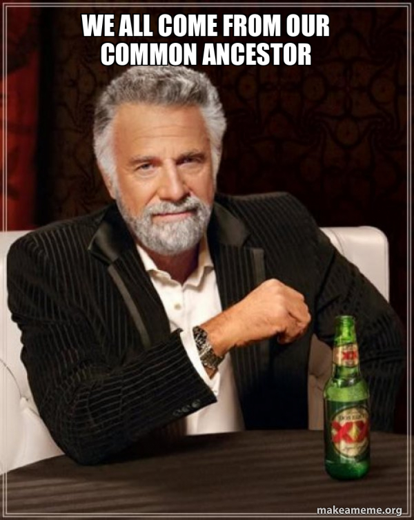 We all come from our common ancestor - The Most Interesting Man in the ...