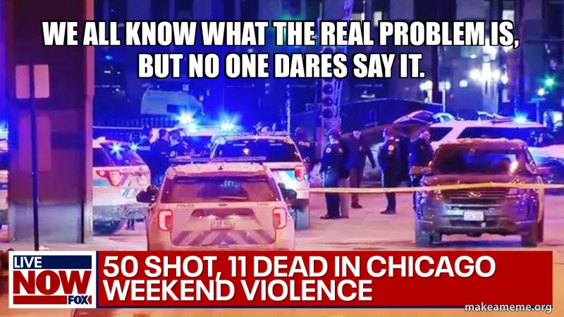 we all know what the real problem is, but no one dares say it. Meme ...