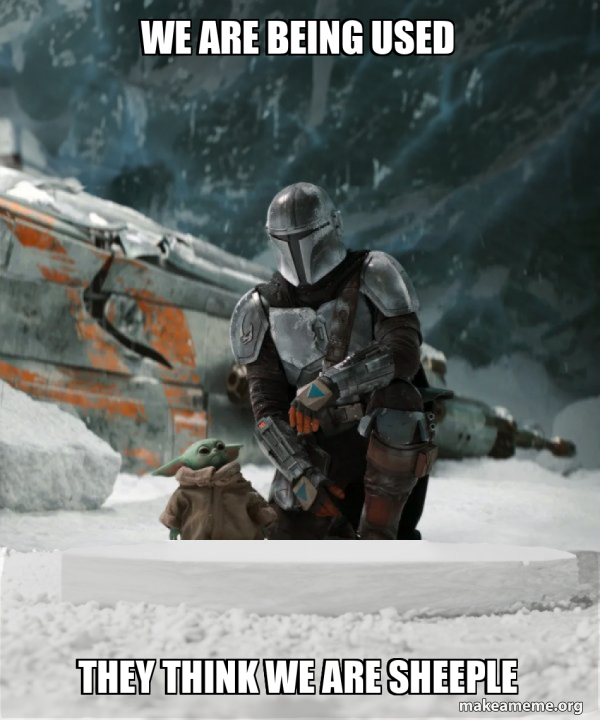 WE ARE BEING USED THEY THINK WE ARE SHEEPLE - Baby Yoda and Mando Meme ...