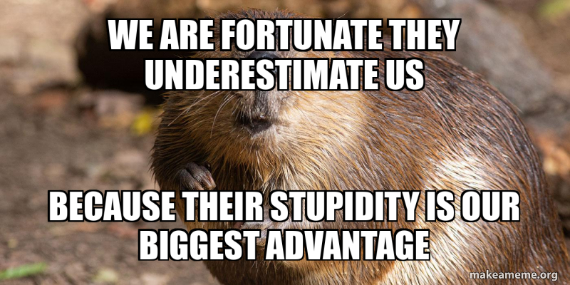 We are fortunate they underestimate us Because their stupidity is our ...