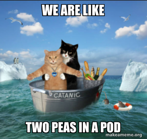 WE are like two peas in a pod Meme Generator