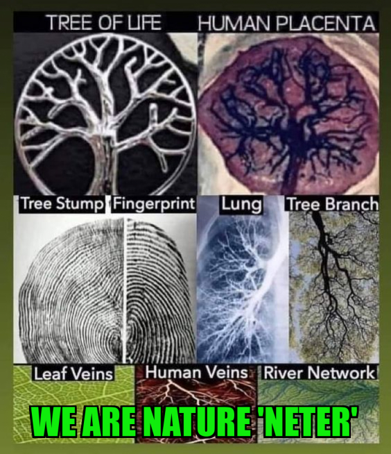 we are nature 'neter' Meme Generator