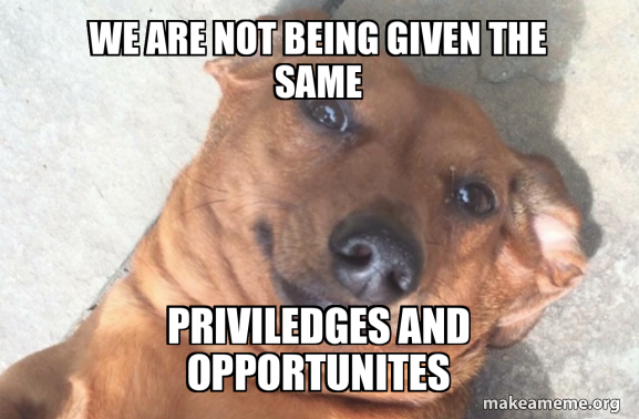 We are not being given the same priviledges and opportunites Meme Generator