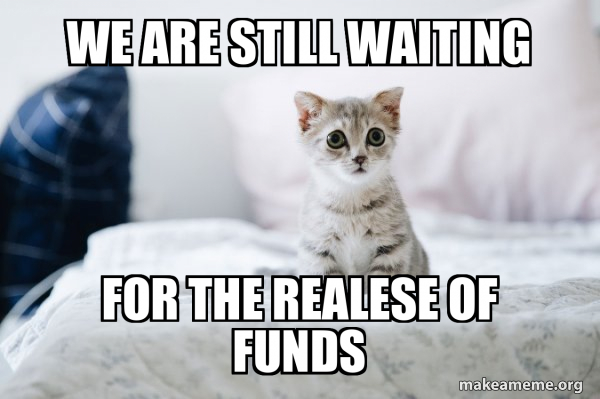 we are still waiting for the realese of funds - Cute Kitten Meme Generator