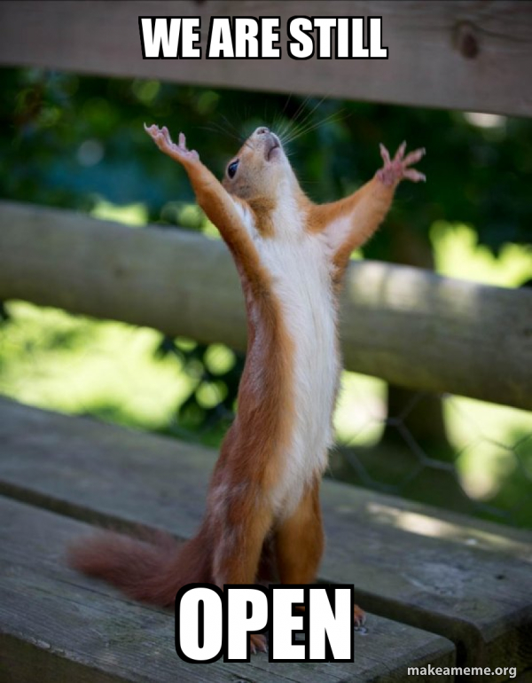 We are still Open - Happy Squirrel Meme Generator