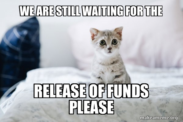 we are still waiting for the release of funds Please - Cute Kitten Meme ...