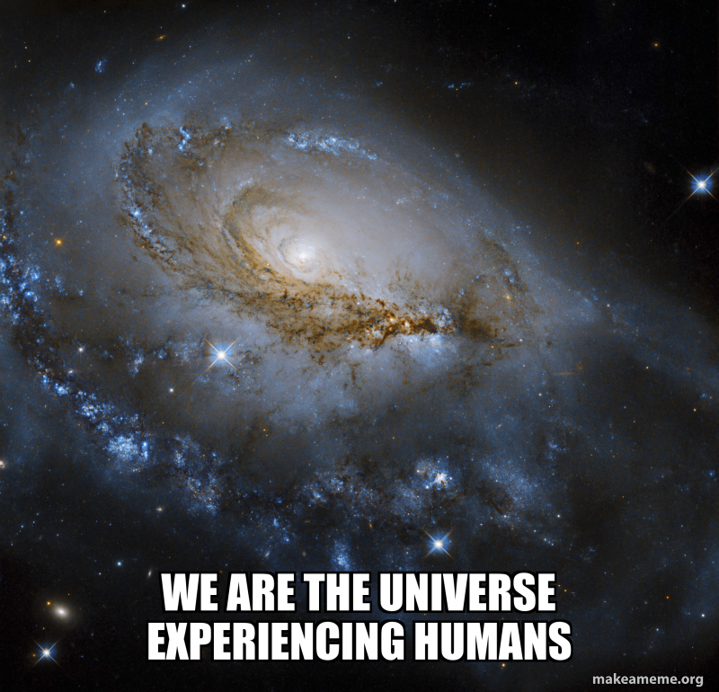 we are the universe experiencing humans Meme Generator