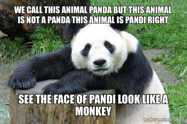 We call this animal Panda but this animal is not a Panda This Animal is ...