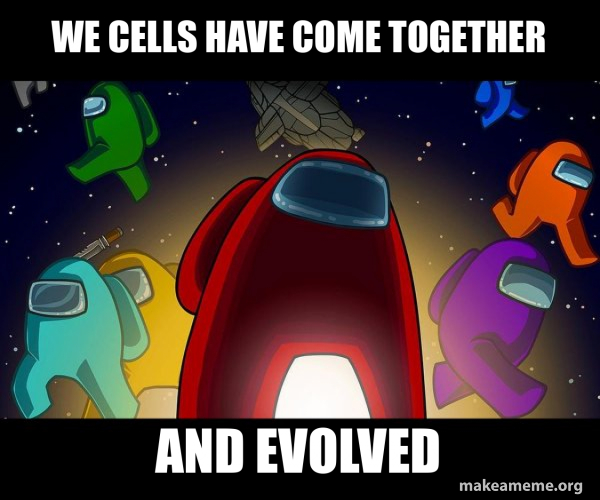 we cells have come together and evolved - Among Us Meme Generator