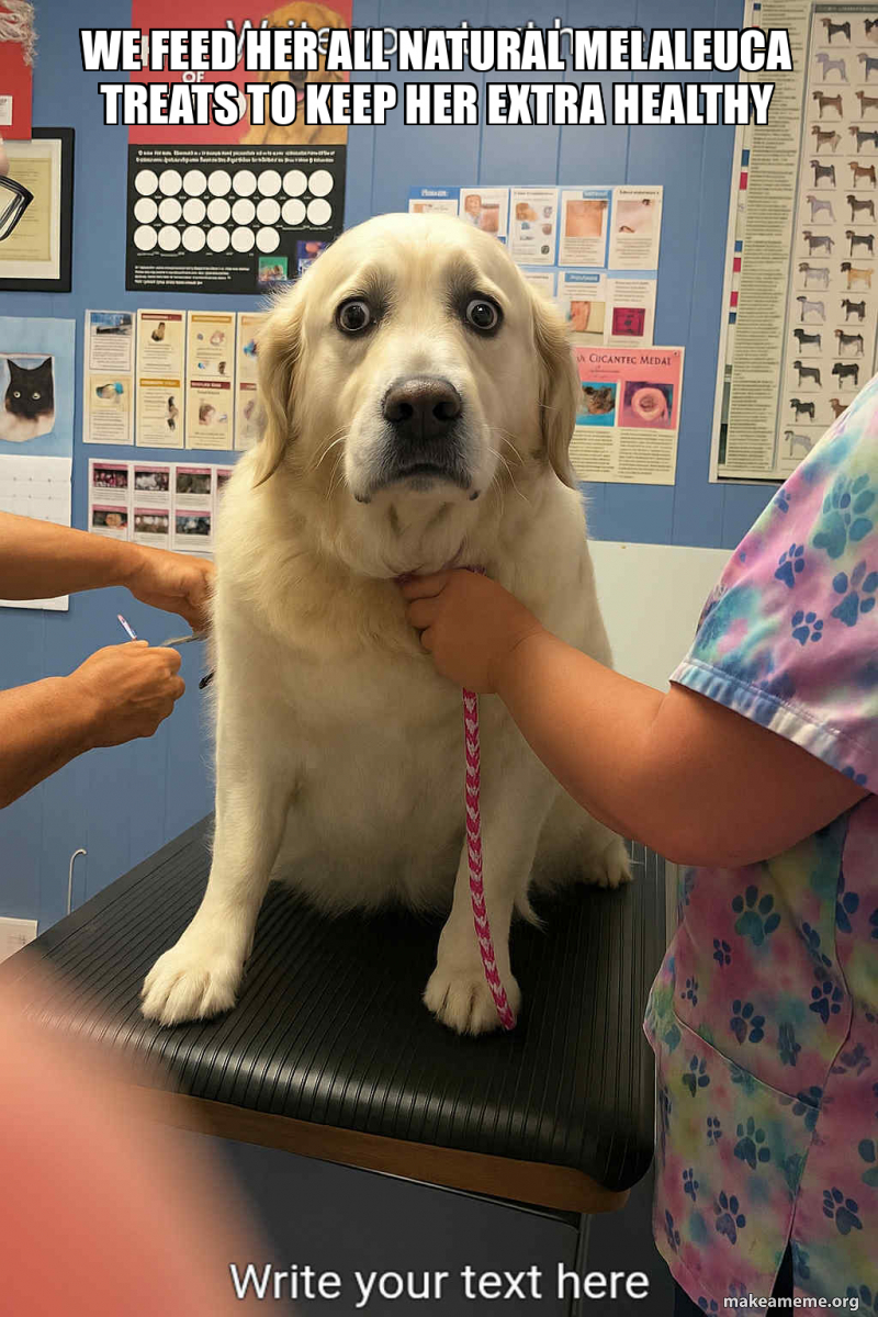 We feed her all natural Melaleuca treats to keep her extra healthy Meme ...