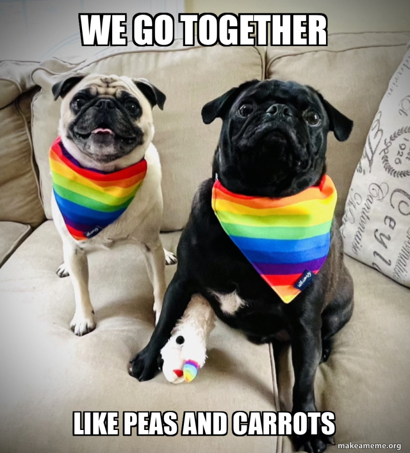 We go together Like peas and carrots Meme Generator