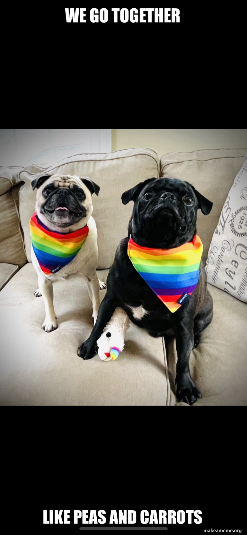 We go together Like peas and carrots Meme Generator