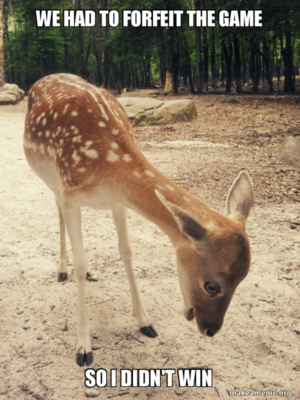 WE HAD TO FORFEIT THE GAME SO I DIDN'T WIN - O M G Deer Meme Generator
