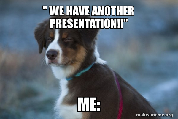 " We have another presentation!!" me: - Unsure Dog Meme Generator