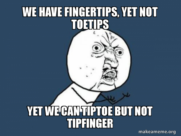 We have fingertips, yet not toetips Yet we can tiptoe but not tipfinger ...