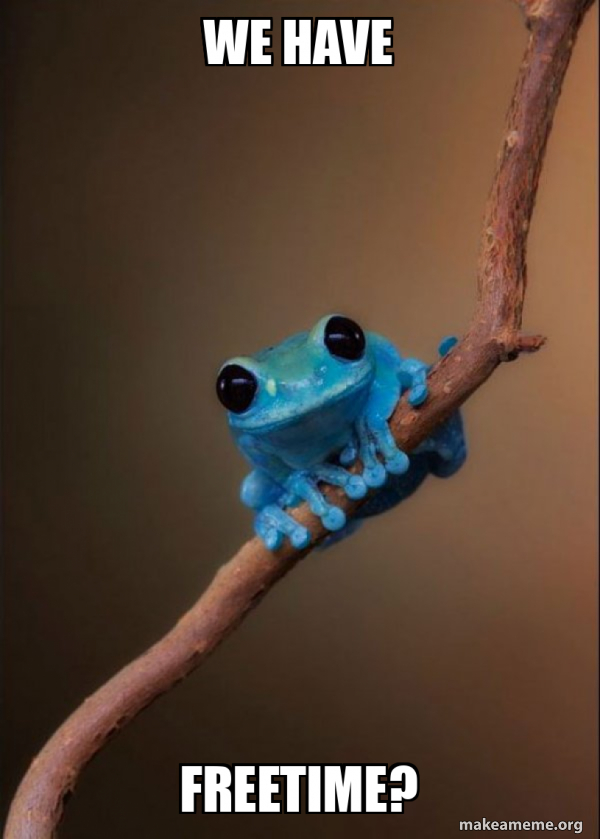 We have Freetime? - Small Fact Frog Meme Generator