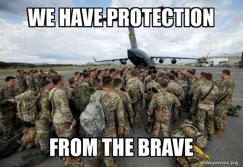 We have protection From the brave Meme Generator