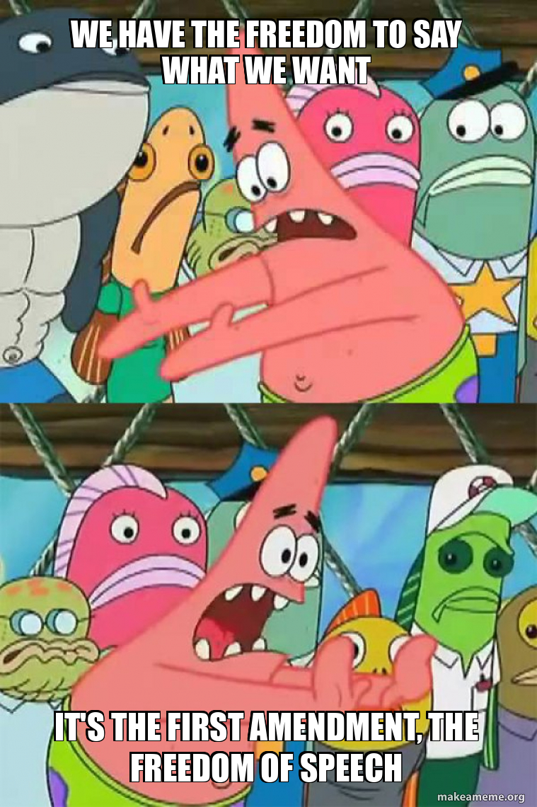 we have the freedom to say what we want It's the first amendment, the ...
