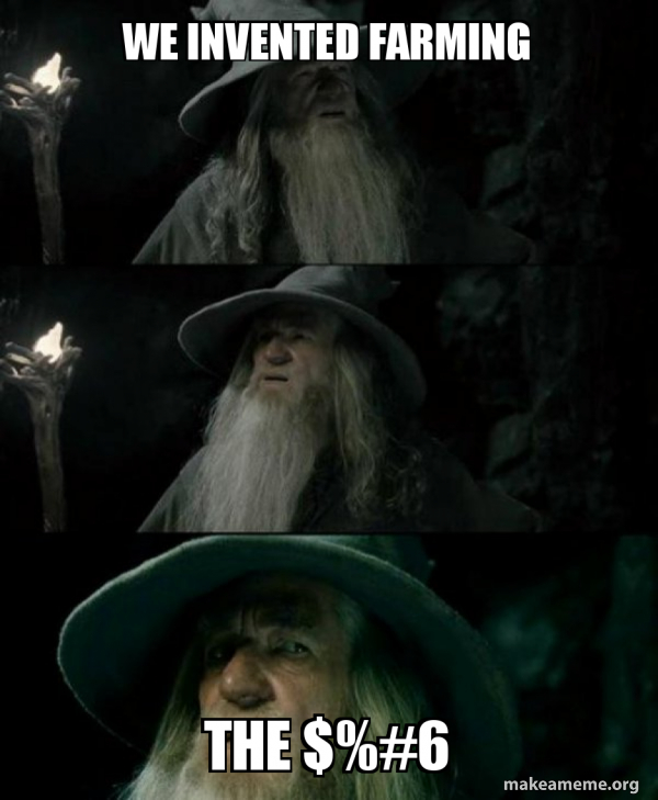 We invented farming The $%#6 - Confused Gandalf Meme Generator