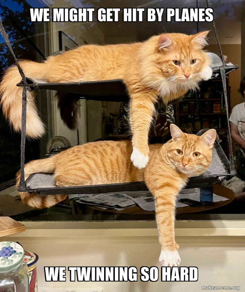 We might get hit by planes We twinning so hard Meme Generator