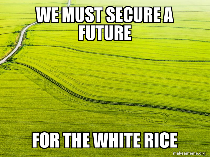 We must secure a future For the whIte rice Meme Generator